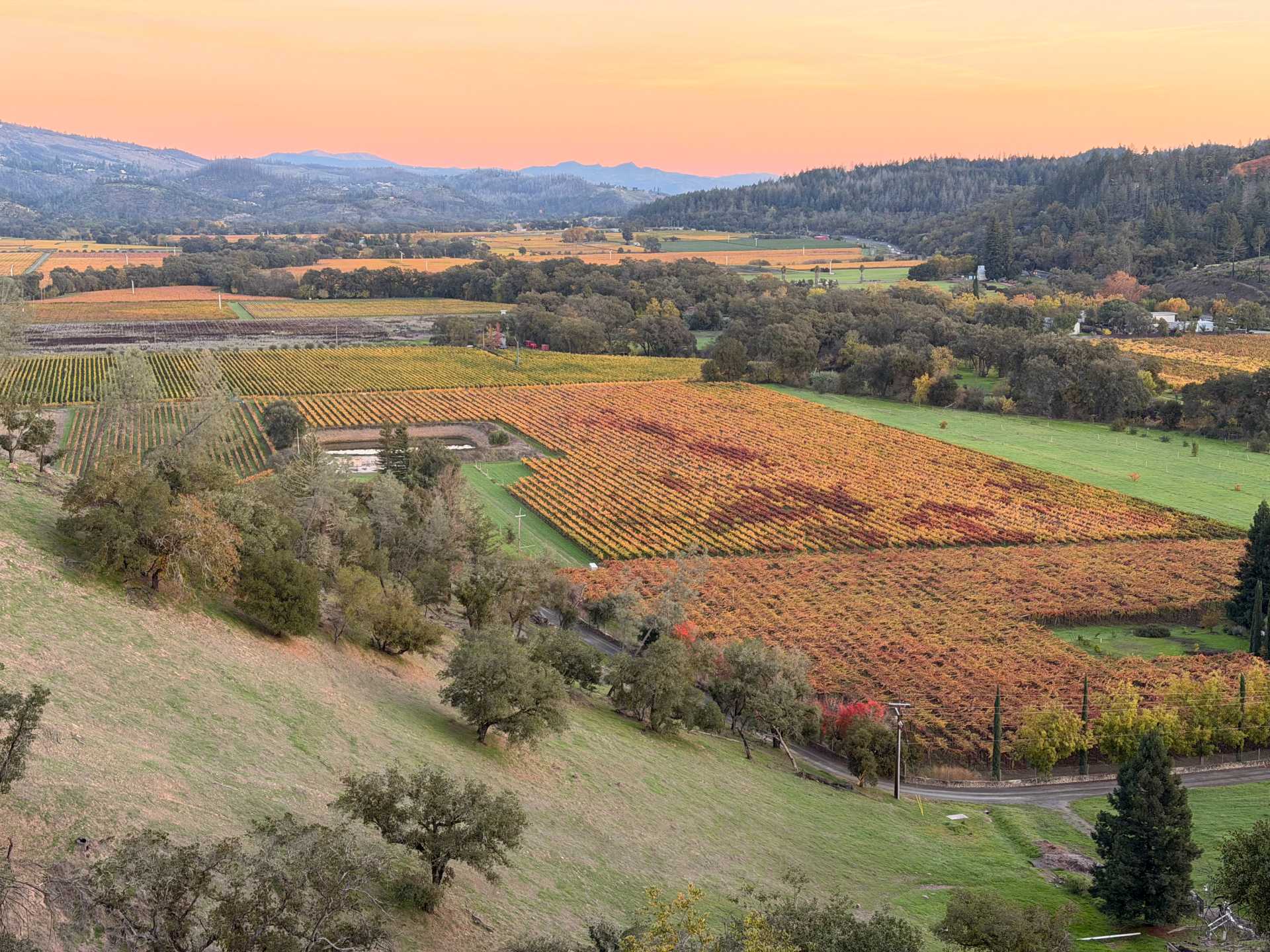 Napa With Kids: Top Kid-Friendly Wineries